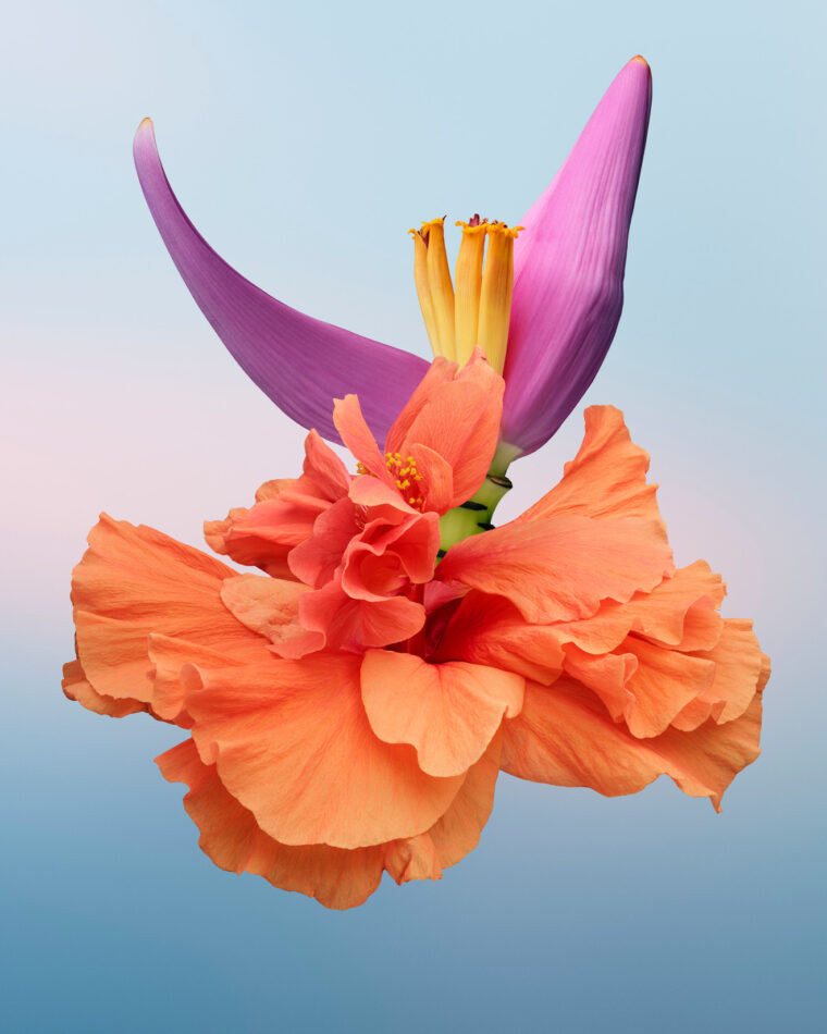 Erwan Frotin | Art + Commerce